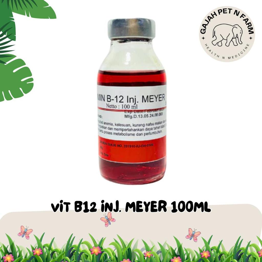 Jual Vitamin B12 Inj Meyer 100 ml - B-12 Injeksi 100 ml - Meningkatkan ...