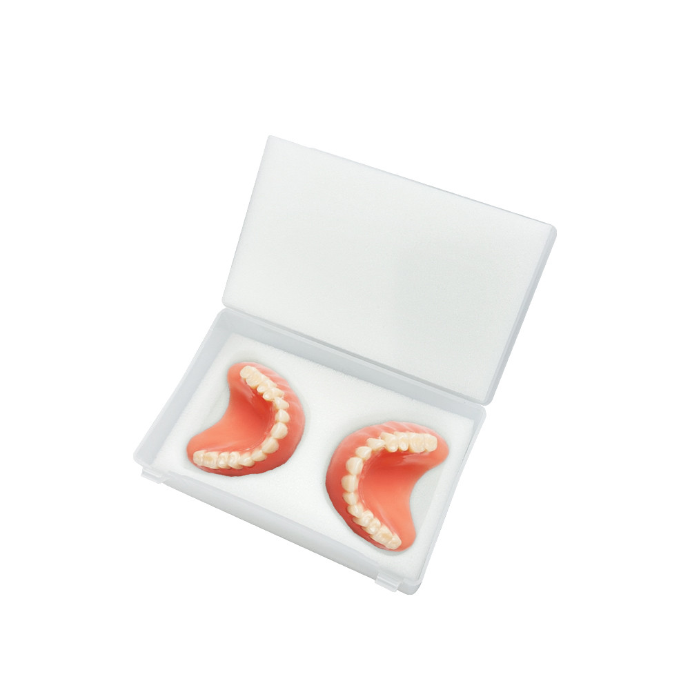 Jual 3Pcs Dental Denture Storage Box Model Flipping Container Transfer ...