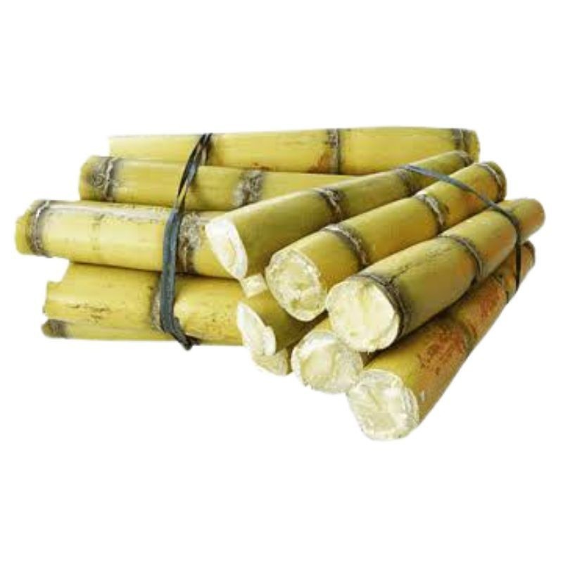 Jual PROMO tebu kuning manis dan besar / segar 1 kg siap makan | Shopee ...