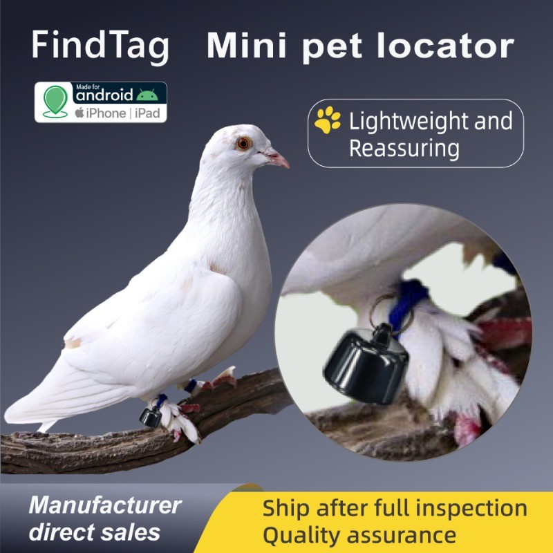 Jual FindTag Mini GPS Tracker for Pets/Birds, Global Location History ...