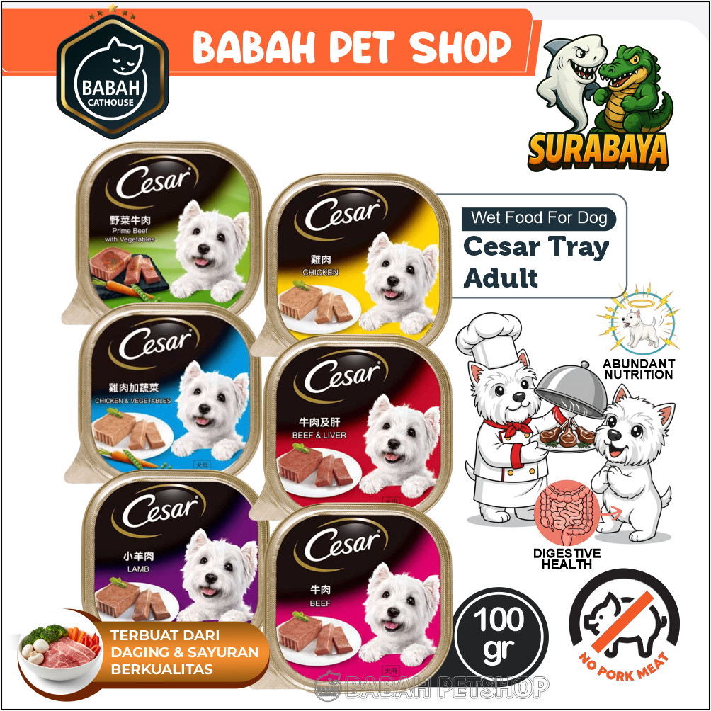 Jual 100gr CESAR DOG TRAY wet food anjing makanan basah chicken pakan ...
