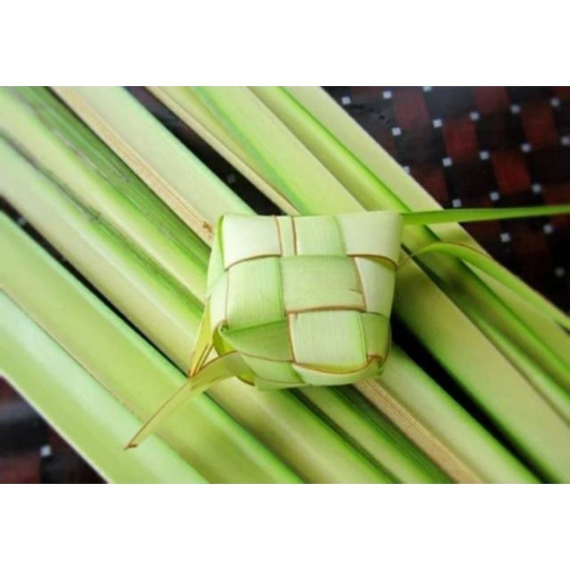 Jual Promo janur daun ketupat atau daun kelapa muda Lokal_Jayaa ...