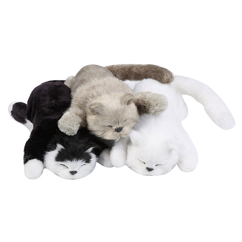 Jual Rolling Purring Electric Cat Toy Lifelike Tumbling Plush Kitty ...