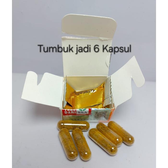 Jual Pien Tze Huang Asli Original Ssa 100% - 1 Pcs Pt. Saras Subur Abadi O-R-I | Shopee Indonesia