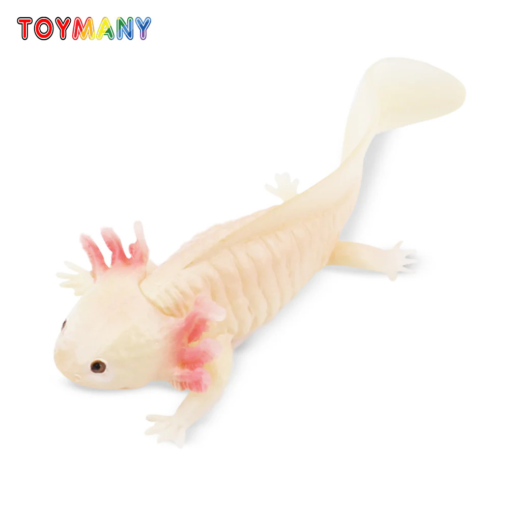 Jual Toymany Simulation Axolotl Salamander Reptile Animal Model Toy ...
