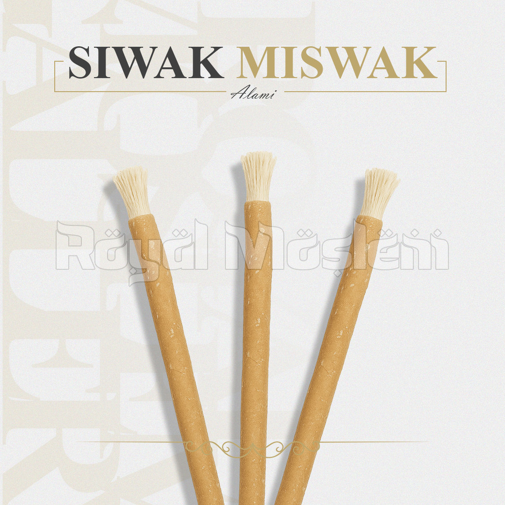 Jual Miswak Siwak Sunnah Sikat Gigi Premium Import | Shopee Indonesia