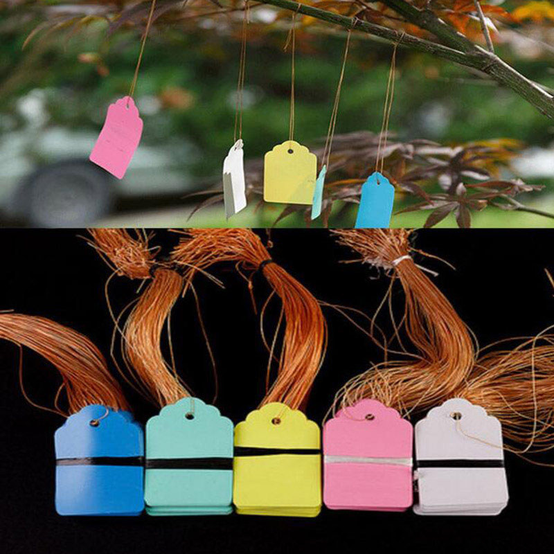 Jual 100pcs PVC Plant Tags Labels Flower Pots Hangling Markers Sign ...