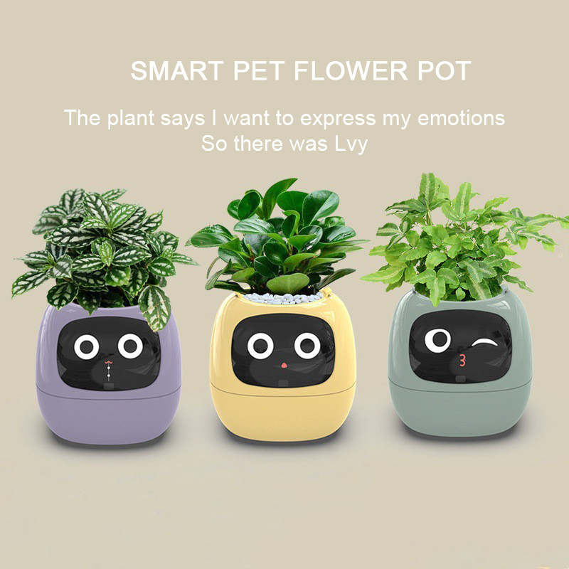 Jual Artificial Intelligence AI Pet Flowerpot Planting Robot 7 Smart ...