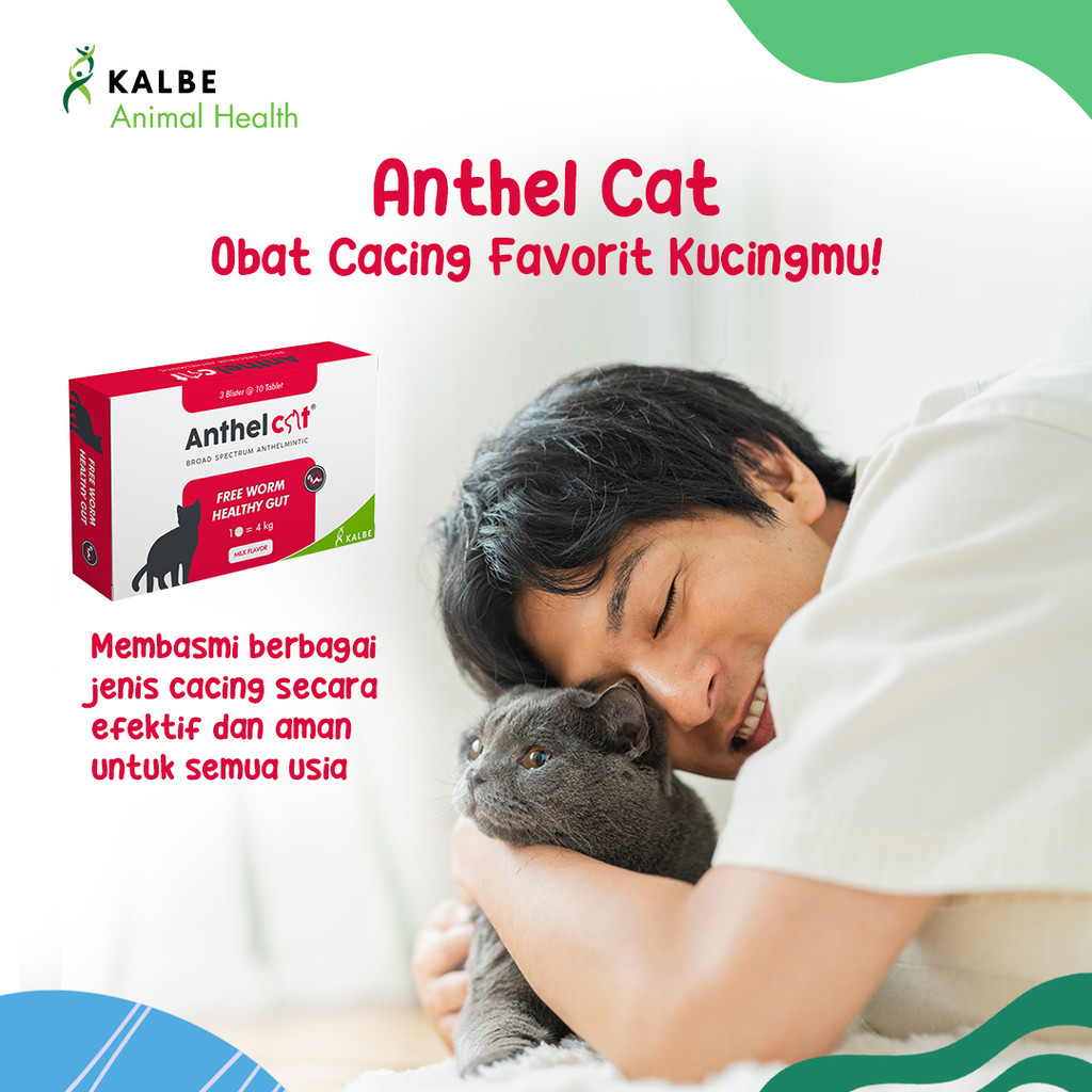 Jual Anthel Cat / Obat Cacing Kucing 1 Box / Original Kalbe Animal ...