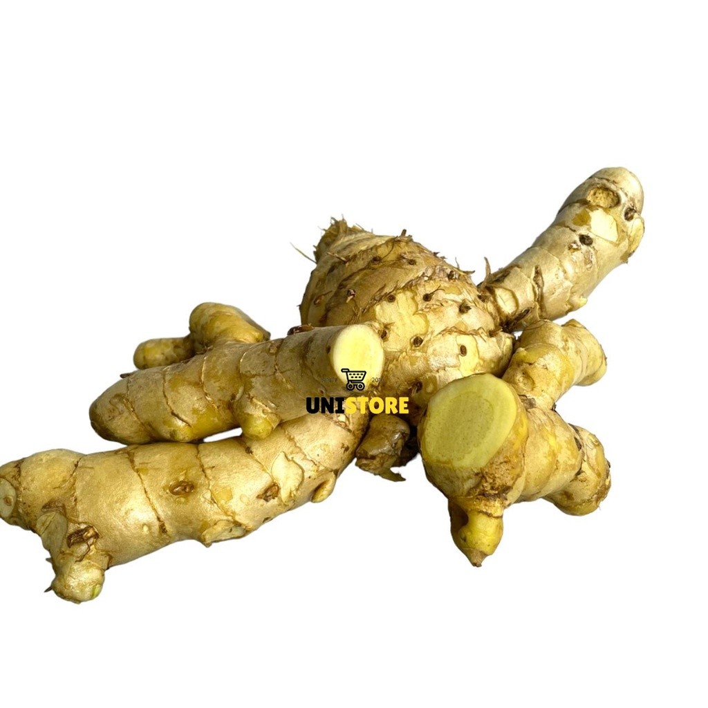 Jual Kunyit Putih Segar 1 Kg Temu Kunir Putih Curcuma Zedoaria | Shopee ...