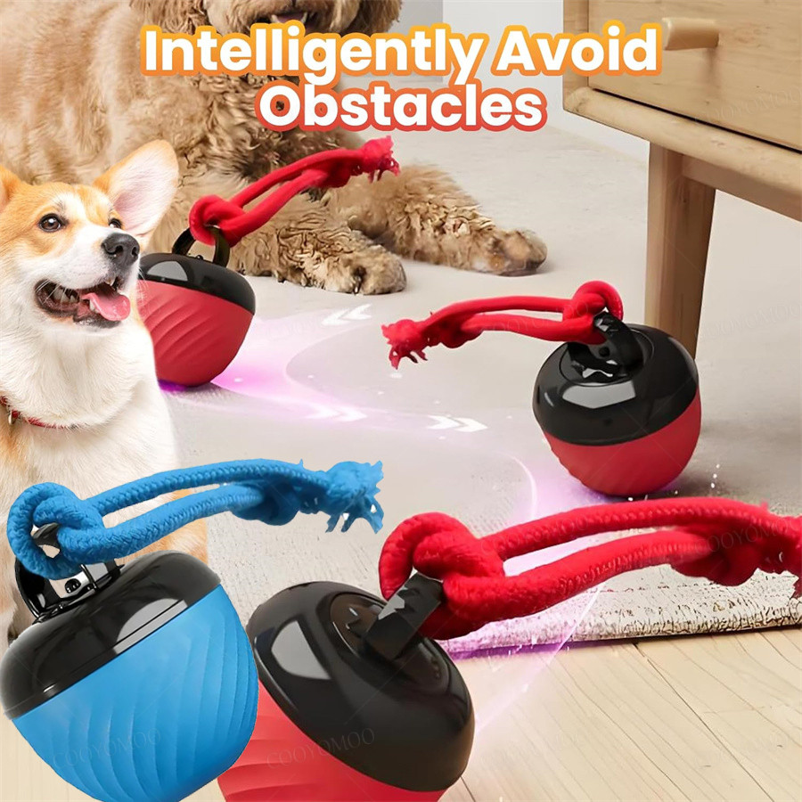 Jual Intelligent Dog Toy Ball Electronic Interactive Cat Toy Usb ...