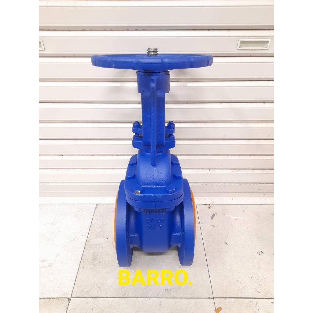 Jual Gate Valve Cast Iron 5" Inch DN 125 PN 16 Rising Stem | Shopee ...