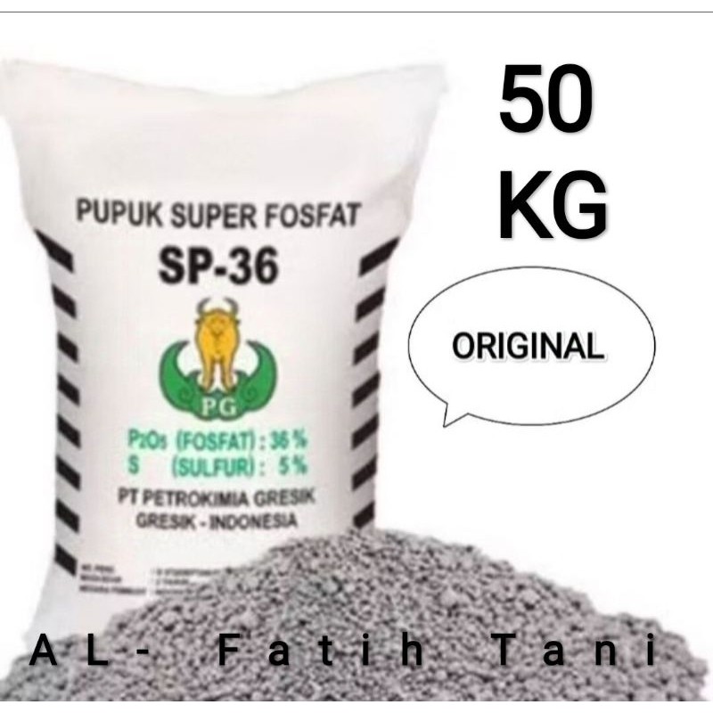 Jual PUPUK TSP SP-36 ORIGINAL REPACK 10-50 KG (1Bal) Pupuk Penyubur dan ...
