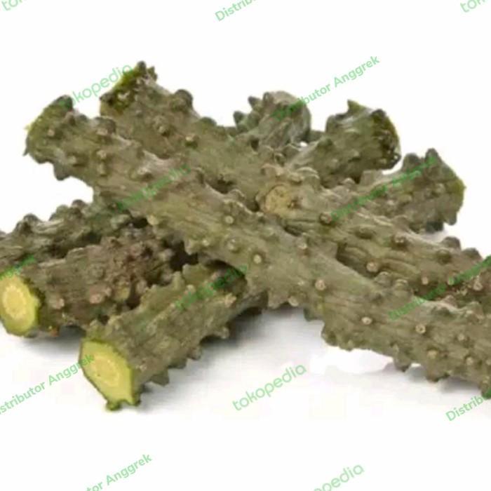Jual Promo akar brotowali/ batrawali segar 1kg | Shopee Indonesia