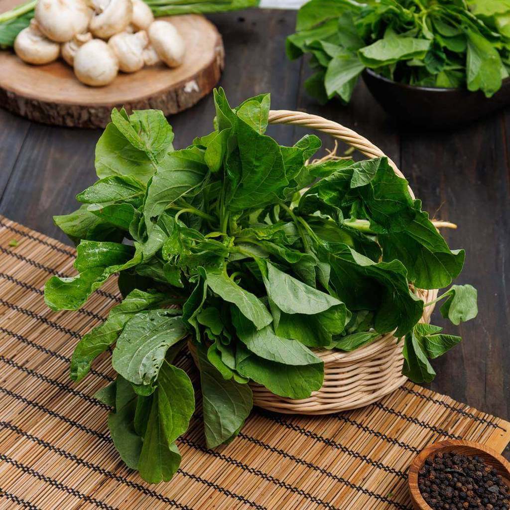 Jual Bayam Hijau (230 - 250 gram / pack) | Shopee Indonesia