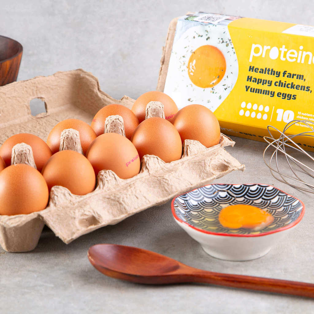 Jual Telur Omega Proteinc (10 pcs / pack) | Shopee Indonesia