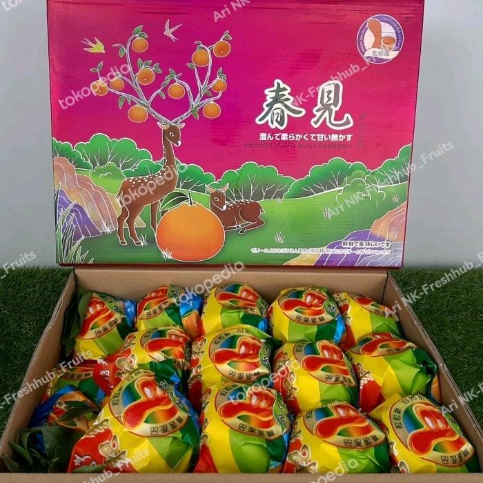 Jual Jeruk Chunjian Papagan Dekopon Papakan China Special Gift box 1dus ...