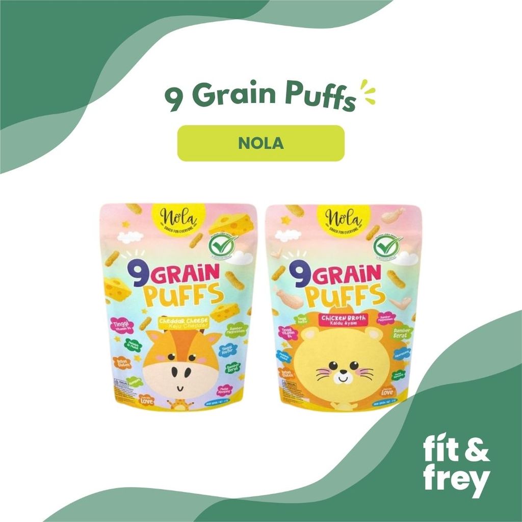 Jual NOLA 9 Grain Puffs 25g - Snack Sehat Bayi Anak - Bebas Gluten ...