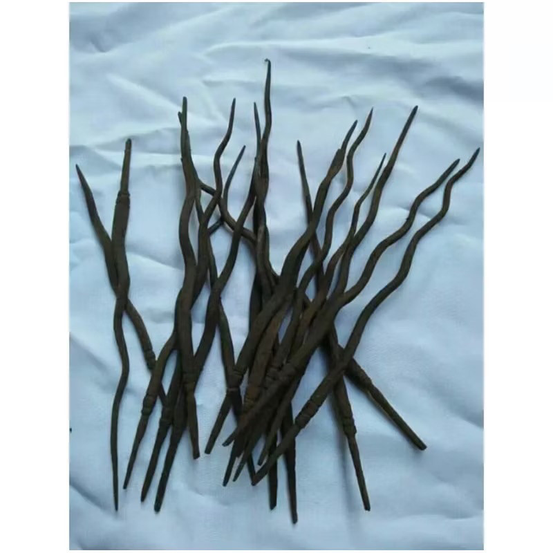 Jual Souvenir Cacing Anil Besi | Shopee Indonesia