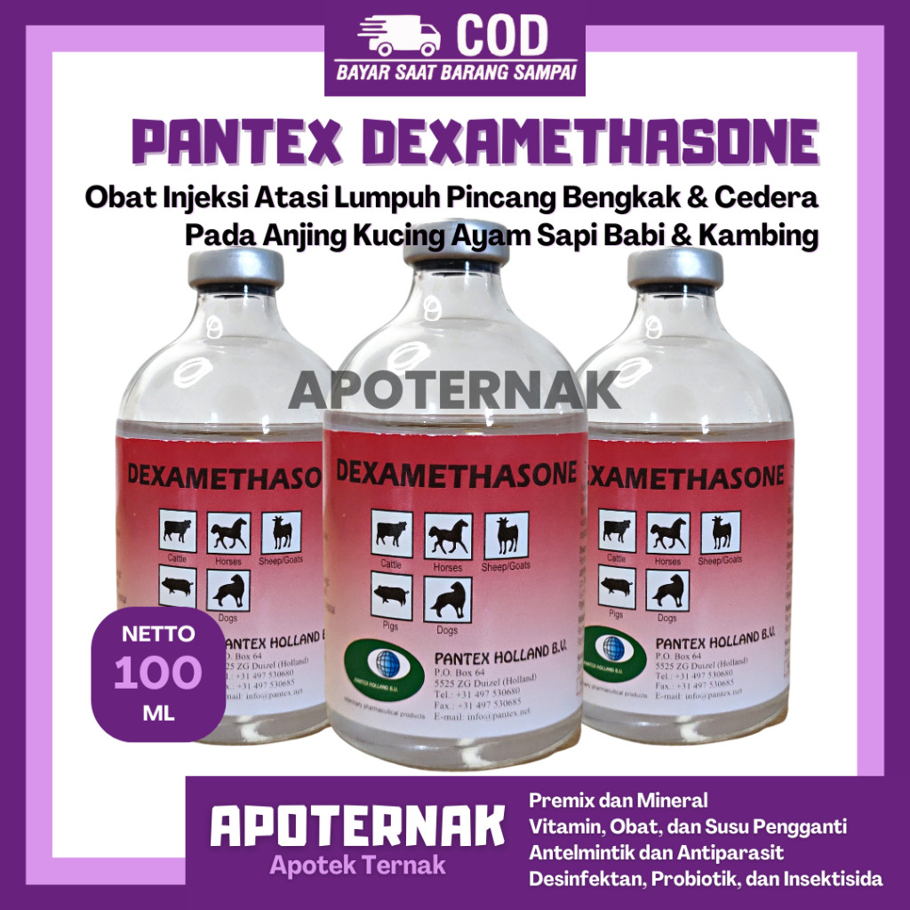 Jual PANTEX DEXAMETHASONE 100 ml - Obat Injeksi Atasi Lumpuh Pincang ...