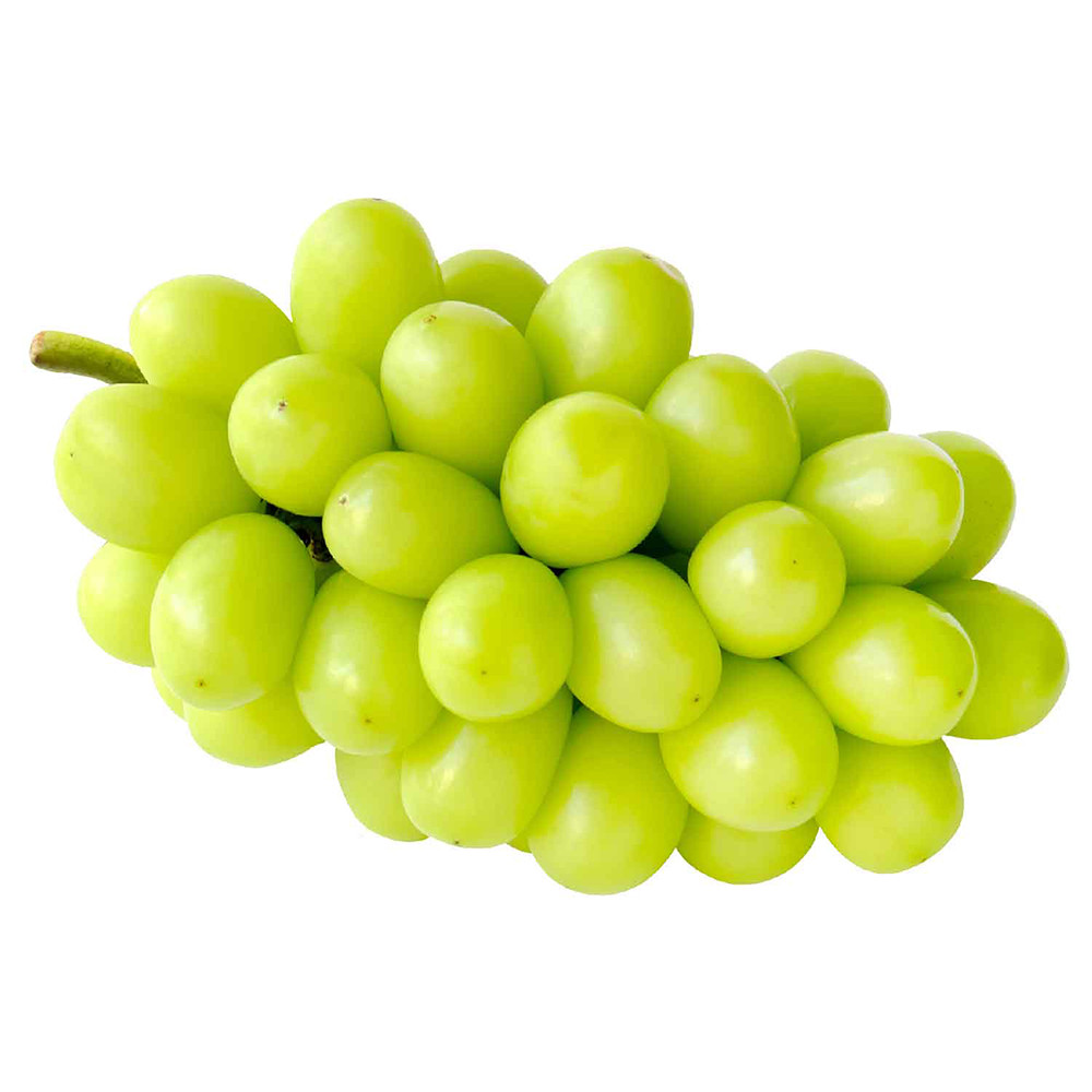 Jual Anggur Muscat Terlengkap & Harga Terbaru Mei 2026 | Shopee Indonesia