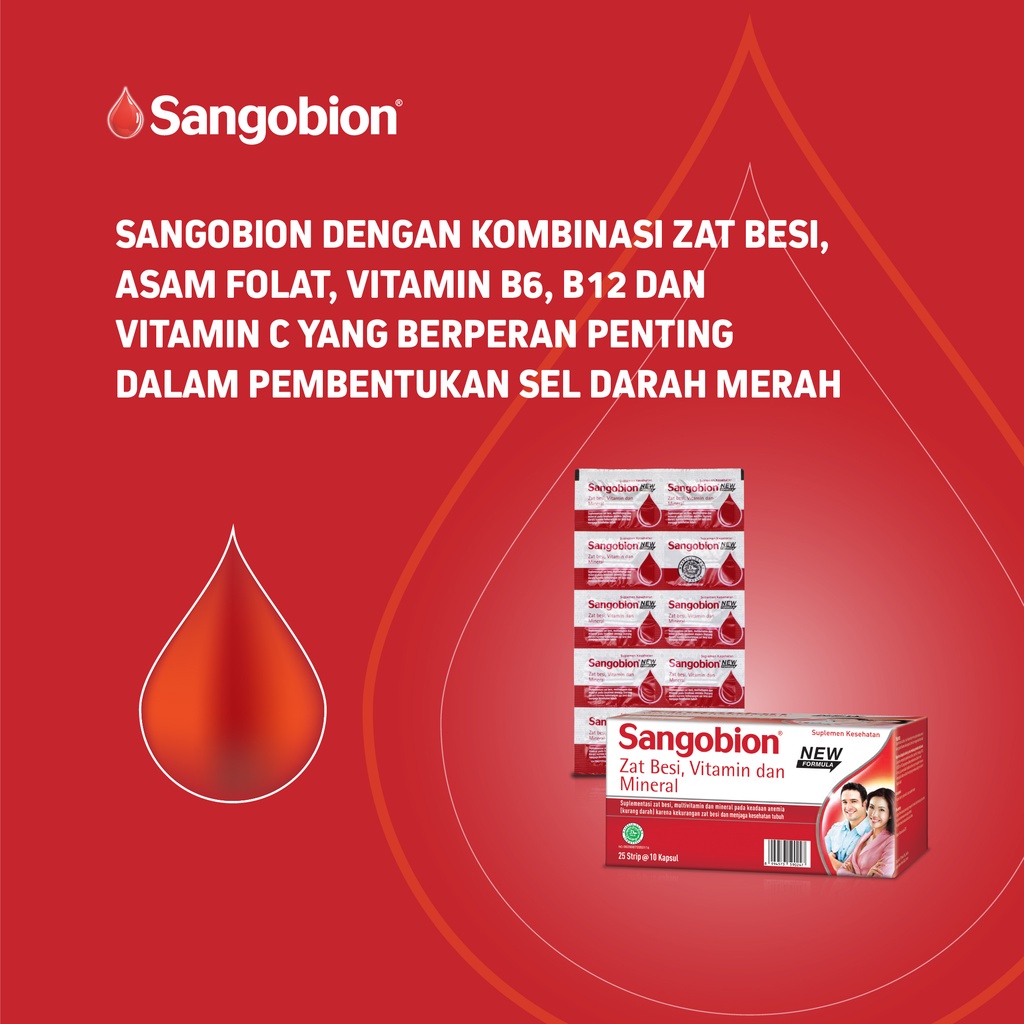 Jual Sangobion Capsule 4s Mineral Vitamin C Suplemen Zat Besi | Shopee ...