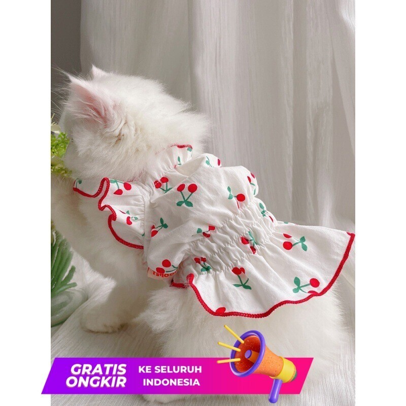 Jual Kostum Hewan Pupi, kucing, pakaian, rok, boneka lebih baik dari ...