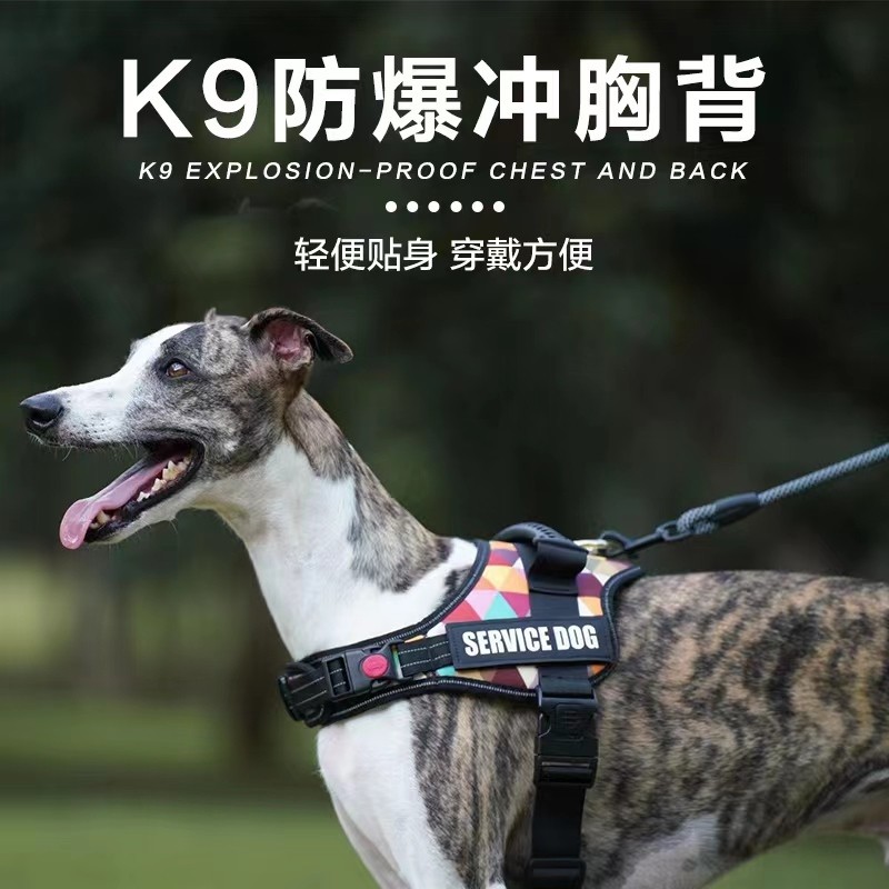 Jual K9 Chest Strap Vest Towing Explosion proof border collie Golden ...