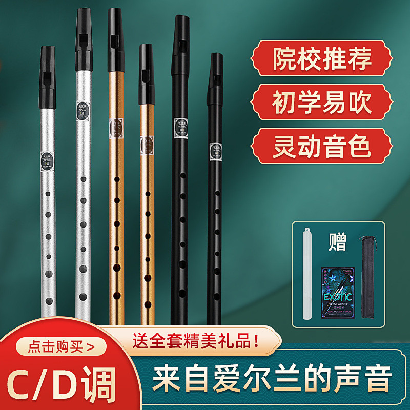 Jual Alat Musik Tiup Pemula wisel Irlandia, vertikal, flut tin, C-key ...
