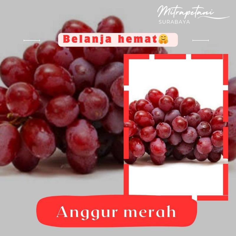 Jual Buah Anggur merah/buah anggur/anggur segar | Shopee Indonesia