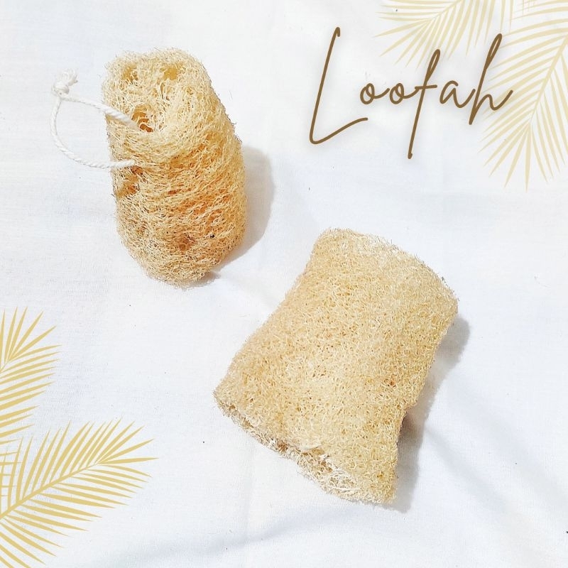 Jual loofah sponge ramah lingkungan sabut cuci piring shower puff alami ...