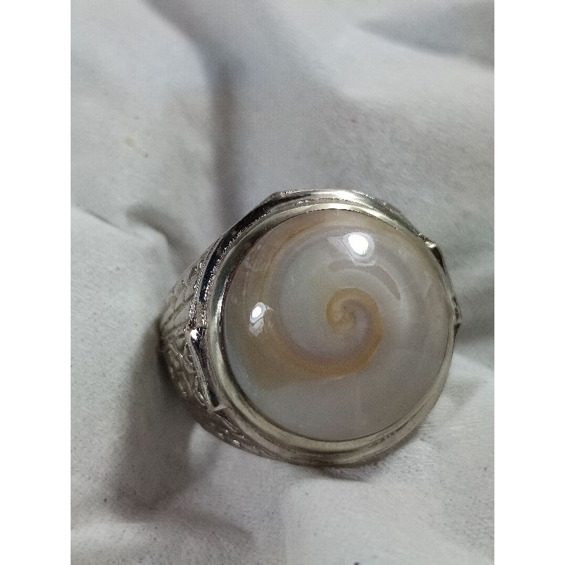 Jual batu posil keong dim kantoran | Shopee Indonesia