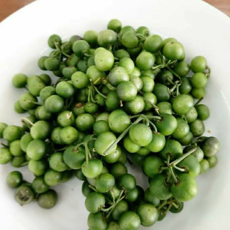 Jual Buah Pokak 250 gr, 500 gr, dan 1 kg. Takokak, Cepoka, Cokawana ...