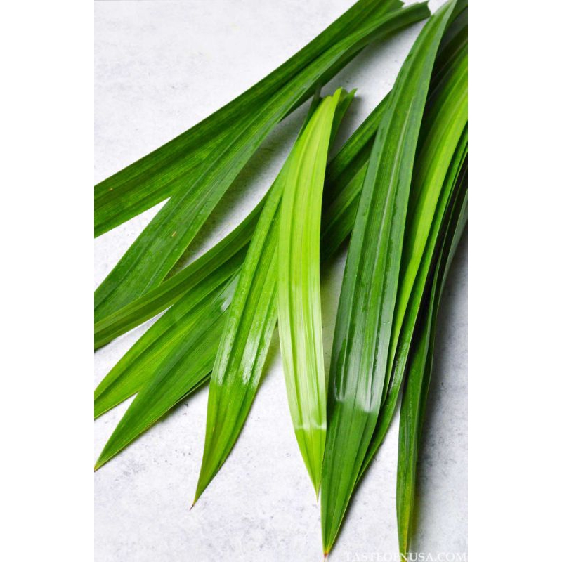 Jual Daun Pandan Wangi Satu Ikat Isi 10, FRESH | Shopee Indonesia