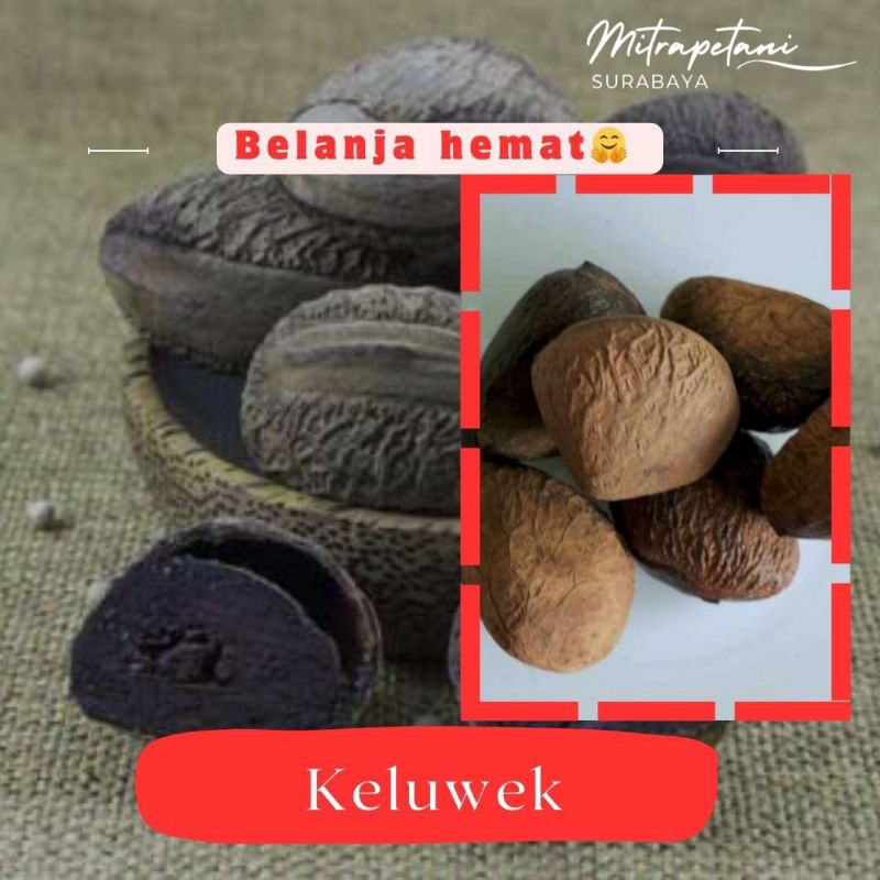 Jual Kluwek, keluwak 500 gram, kluwek rempah | Shopee Indonesia