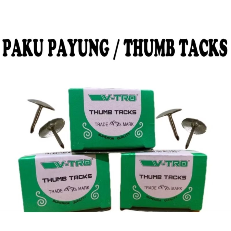 Jual Paku Payung Pines Jamur Dekorasi ( 1 box = 10 kotak kecil ...