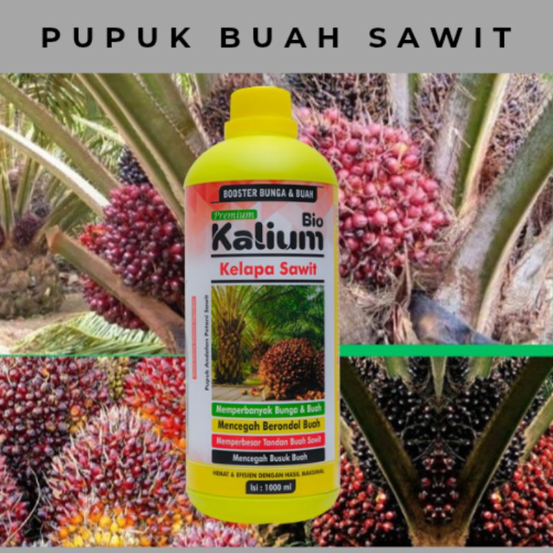 Jual Pupuk Buah Kelapa Sawit Bio Kalium 1 ltr | Shopee Indonesia