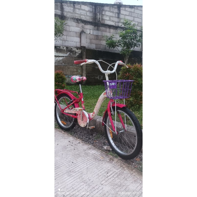 Jual Sepeda Anak Perempuan Wimcycle 20 inch | Shopee Indonesia