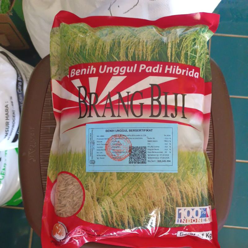 Jual Benih Unggul padi Hibrida Brang Biji 1KG | Shopee Indonesia