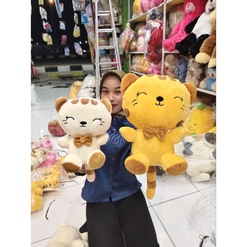 Jual KUCING KOREA L KUCING LUCU KUCING GEMOY KUCING VIRAL | Shopee ...