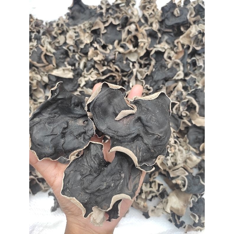 Jual 250GR JAMUR KUPING KERING/JAMUR HITAM/GRADE A | Shopee Indonesia