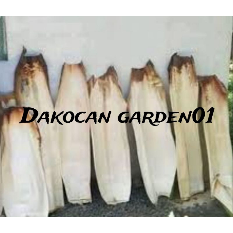 Jual Pelepah pohon pinang tinggi 40cm lebar 25cm bahan kerajinan tangan ...