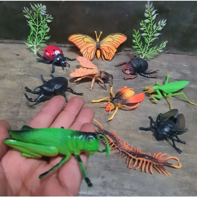 Jual Mainan Miniatur Hewan Serangga Ukuran Sedang isi 10 pcs | Shopee ...