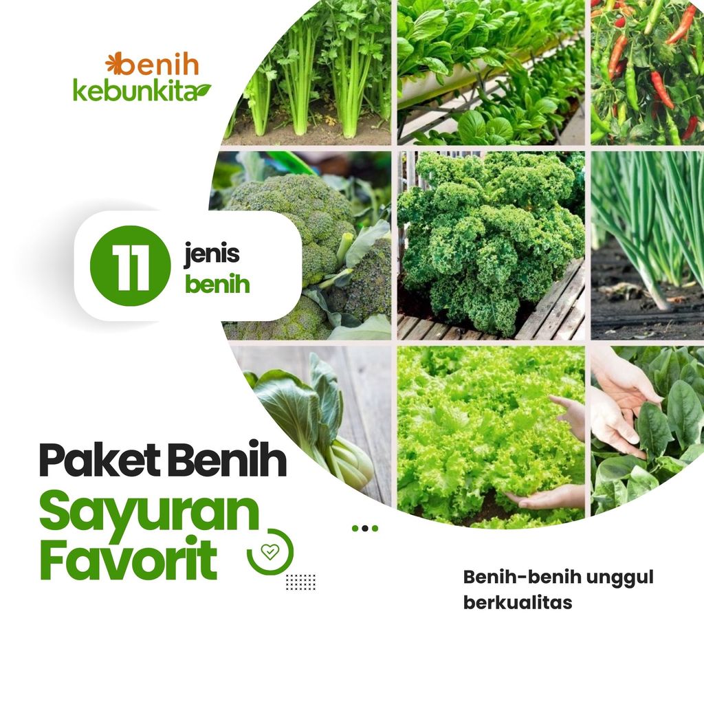 Jual Paket Hemat Biji Benih 11 Macam Sayuran Favorit | Bayam Jepang ...