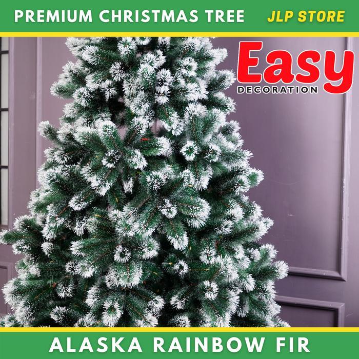 Jual Pohon Natal Premium 2.5 Meter / 8Ft Alaska Rainbow Fir Christmas ...