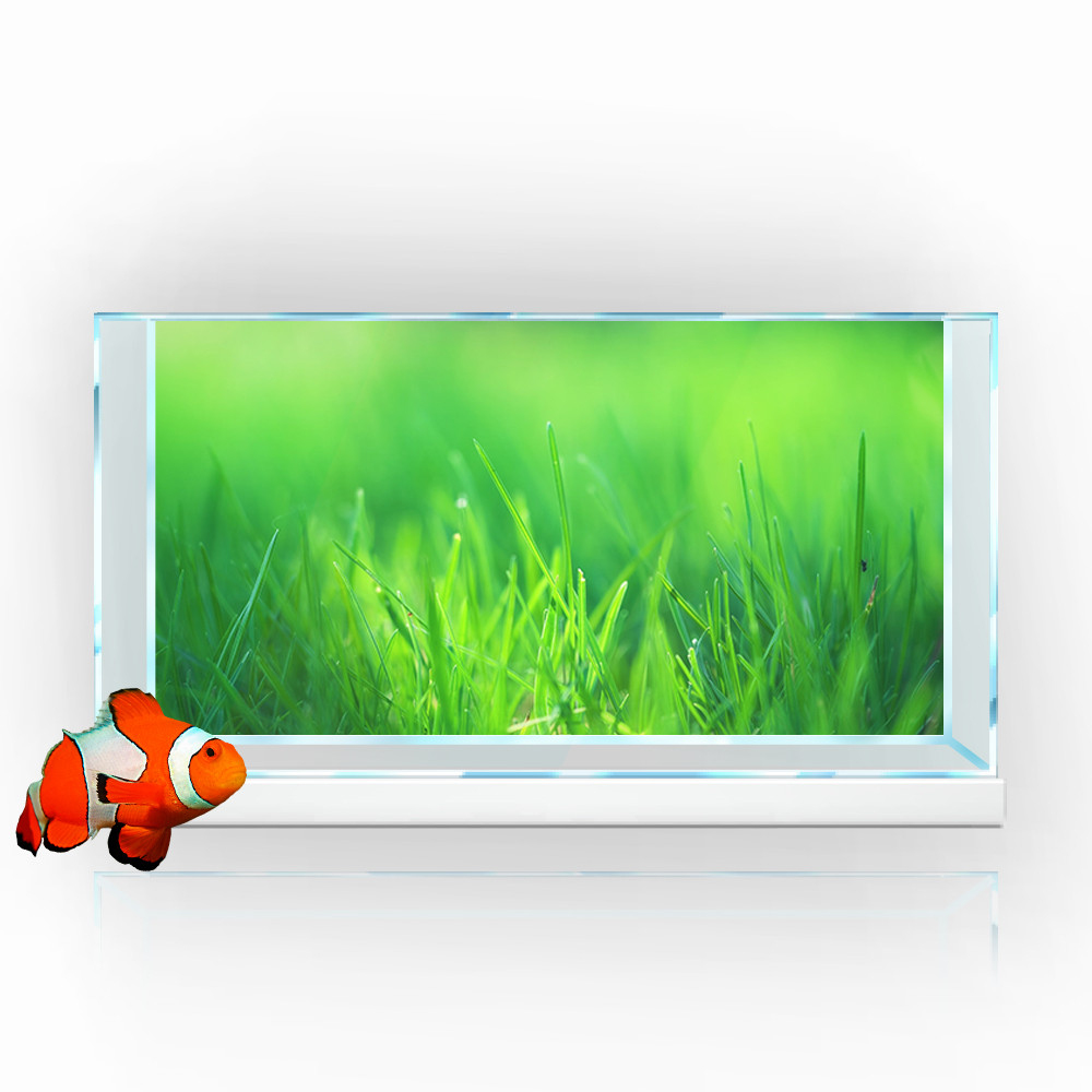 Jual Aquarium Background Sticker, Green Grass Plants Nature 3D HD ...