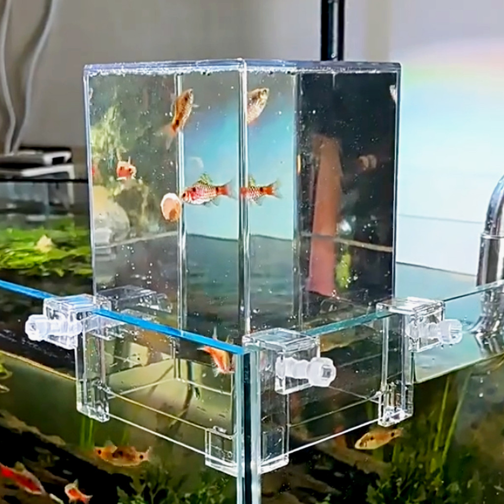 Jual Fish Elevator Water Auto-Refill Negative Pressure Suspended Fish ...