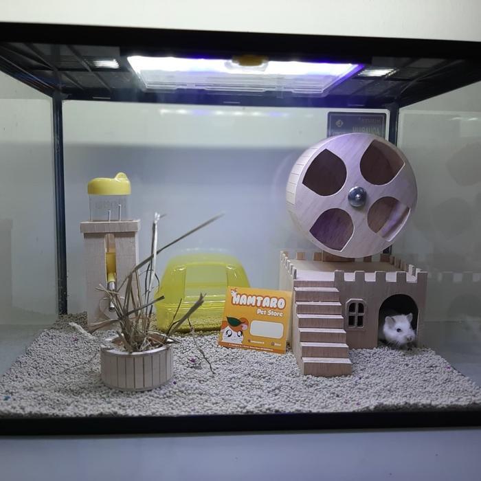 Jual Hamutaro Rumah Hamster Terarium Kandang Hamster Ukuran Besar ...