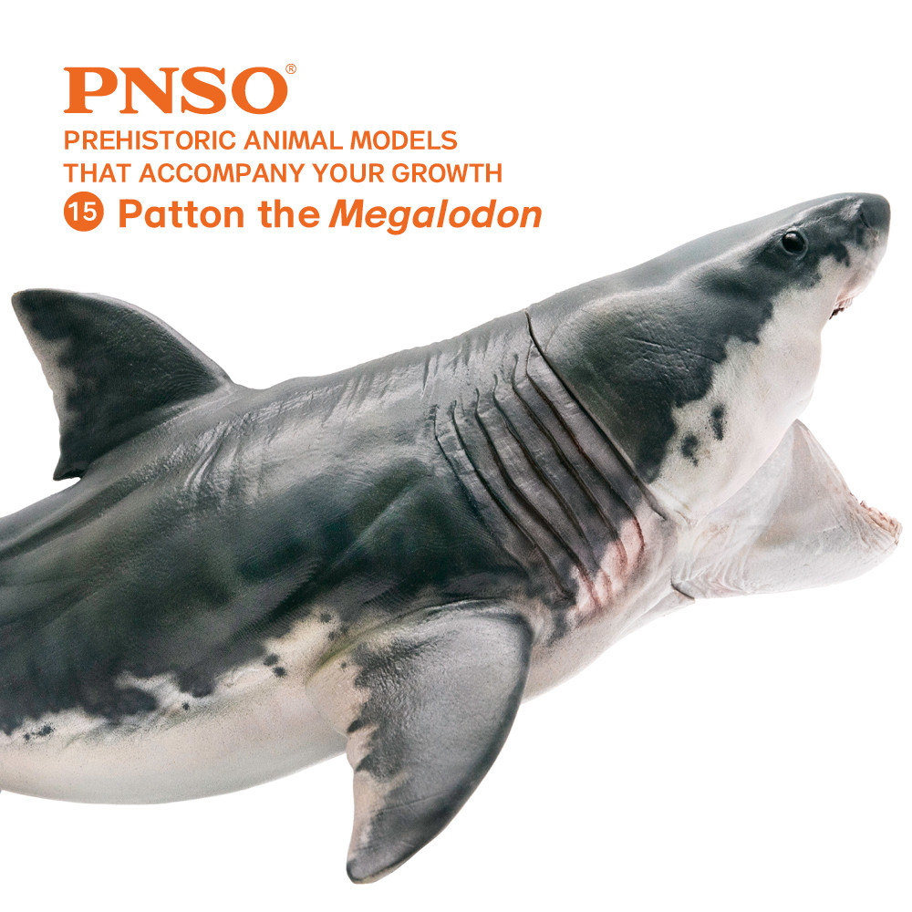 Jual PNSO Prehistoric Animal Models: 15Patton The Megalodon (Big White ...