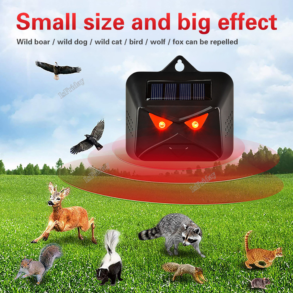 Jual NEW Waterproof Outdoor Animal Deterrent Device With Laser Red ...